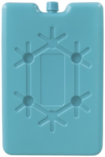 Small Esky Freezer Ice Pack Re-freezable Ice Bricks cooler bag to keep ...